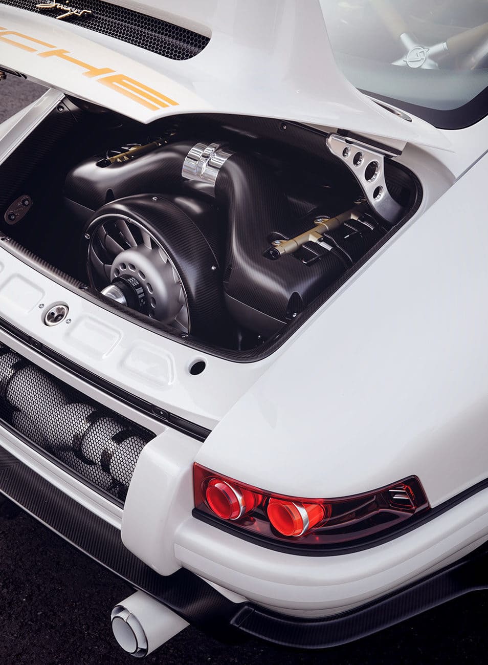 A Look Into The Perfect Singer Porsche Williams DLS