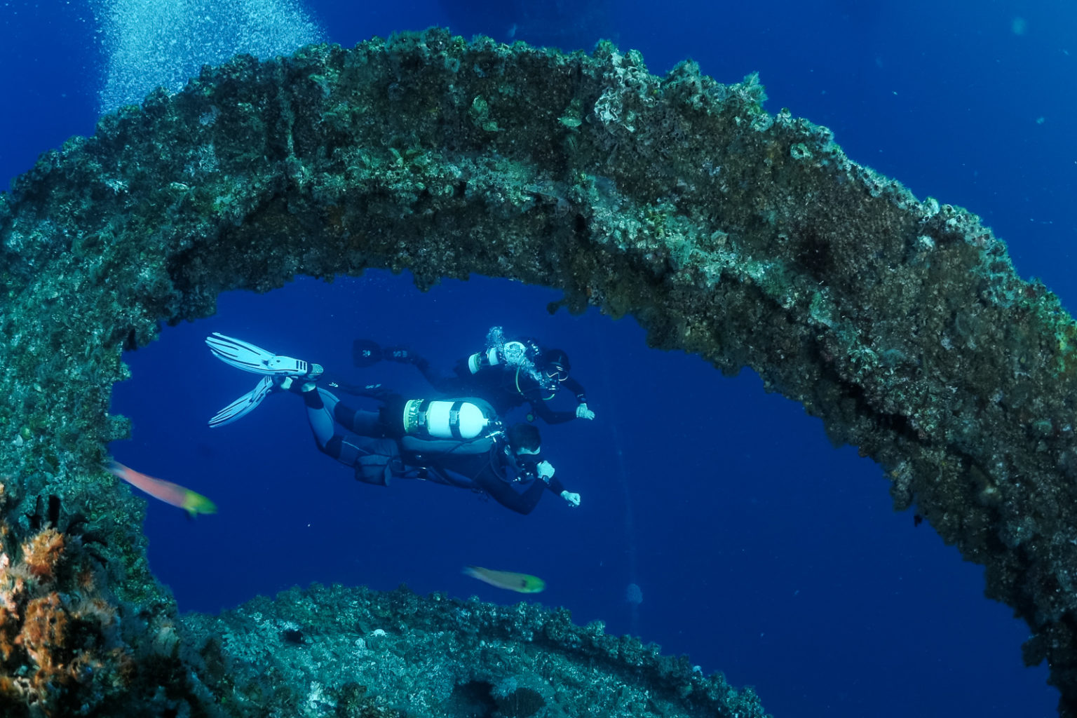 Wonder Reef: Diving The Gold Coast’s World-First Buoyant Reef