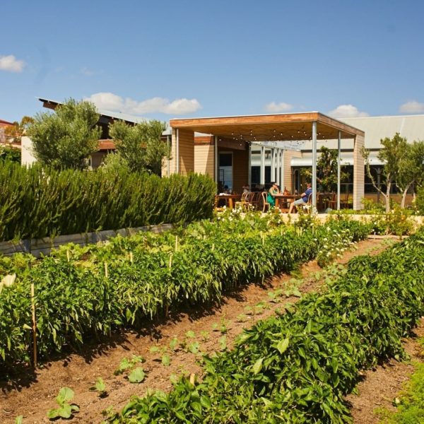 18 Best Restaurants In Perth To Dine At In 2023