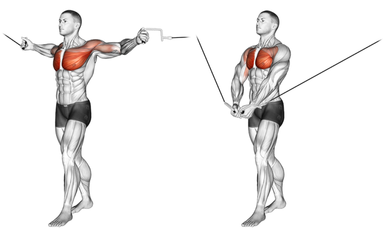 The 16 Best Chest Exercises For Size & Strength
