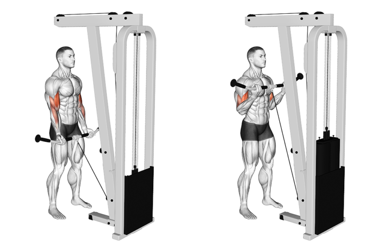 The 15 Best Bicep Exercises & Workouts For Men | Boss Hunting