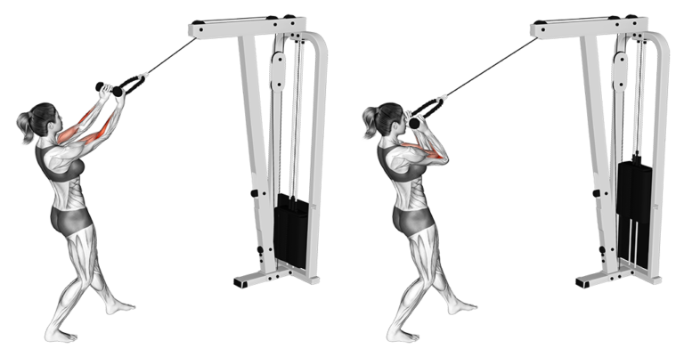 The 15 Best Bicep Exercises & Workouts For Men | Boss Hunting