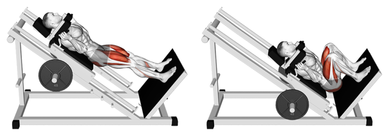 15 Best Exercises For The Perfect Leg Workout | Boss Hunting