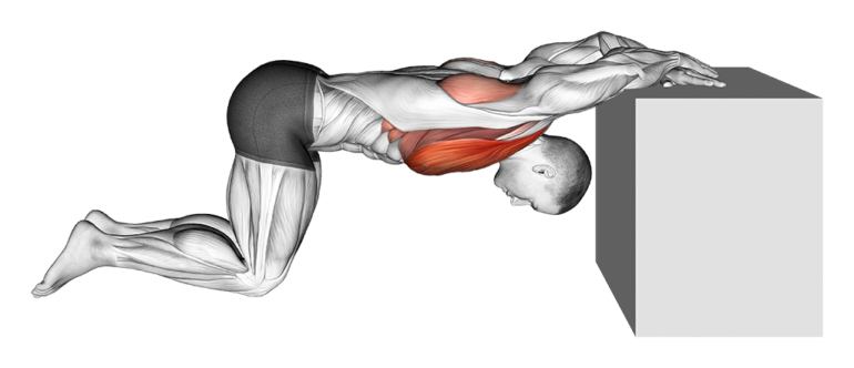 The 16 Best Chest Exercises For Size & Strength