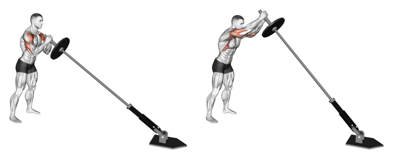 The 16 Best Chest Exercises For Size & Strength