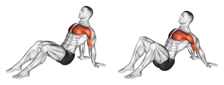 The 16 Best Chest Exercises For Size & Strength