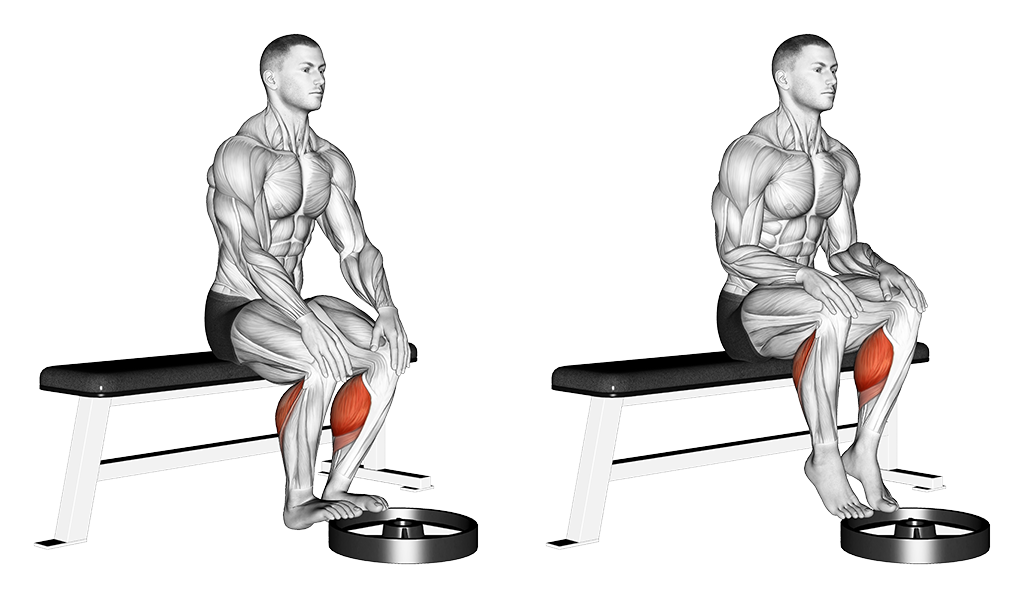 15 Best Exercises For The Perfect Leg Workout | Boss Hunting