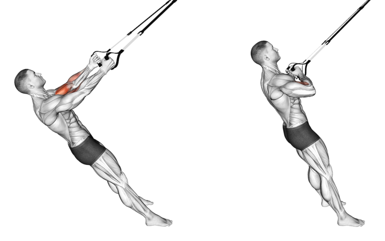 The 15 Best Bicep Exercises And Workouts For Men Boss Hunting