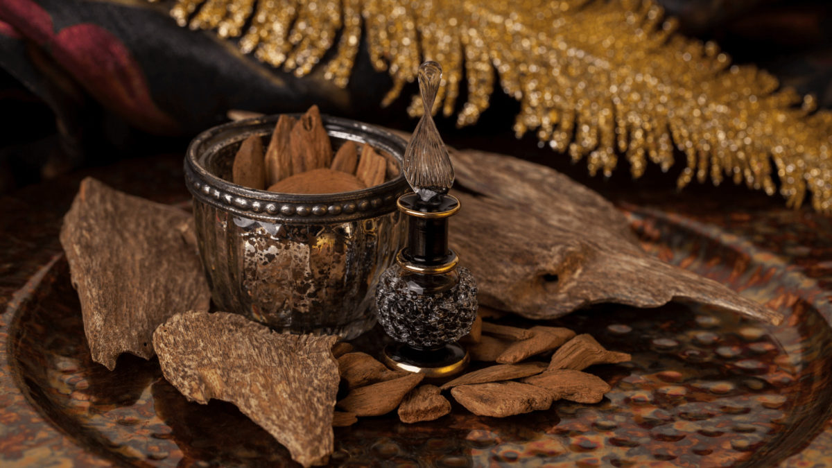 WHAT IS OUD? AND WHY IS IT SUCH AN EXPENSIVE PERFUME INGREDIENT ...