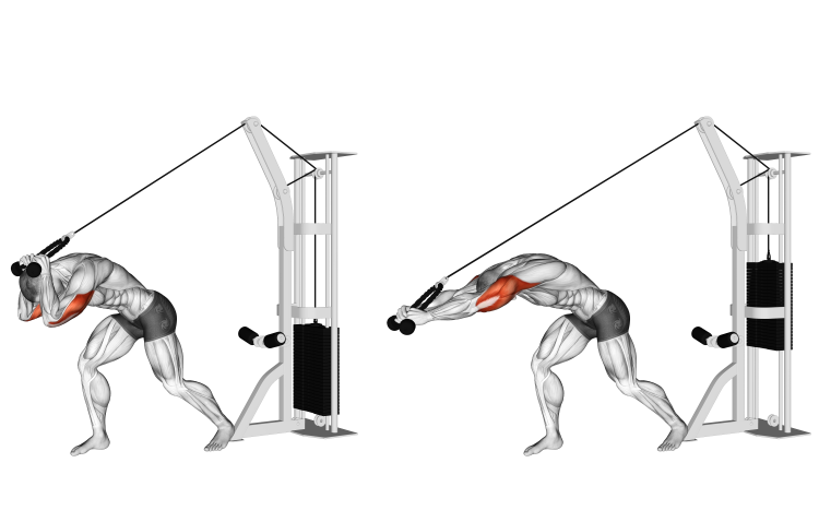 11 Best Tricep Exercises & Workouts For Men