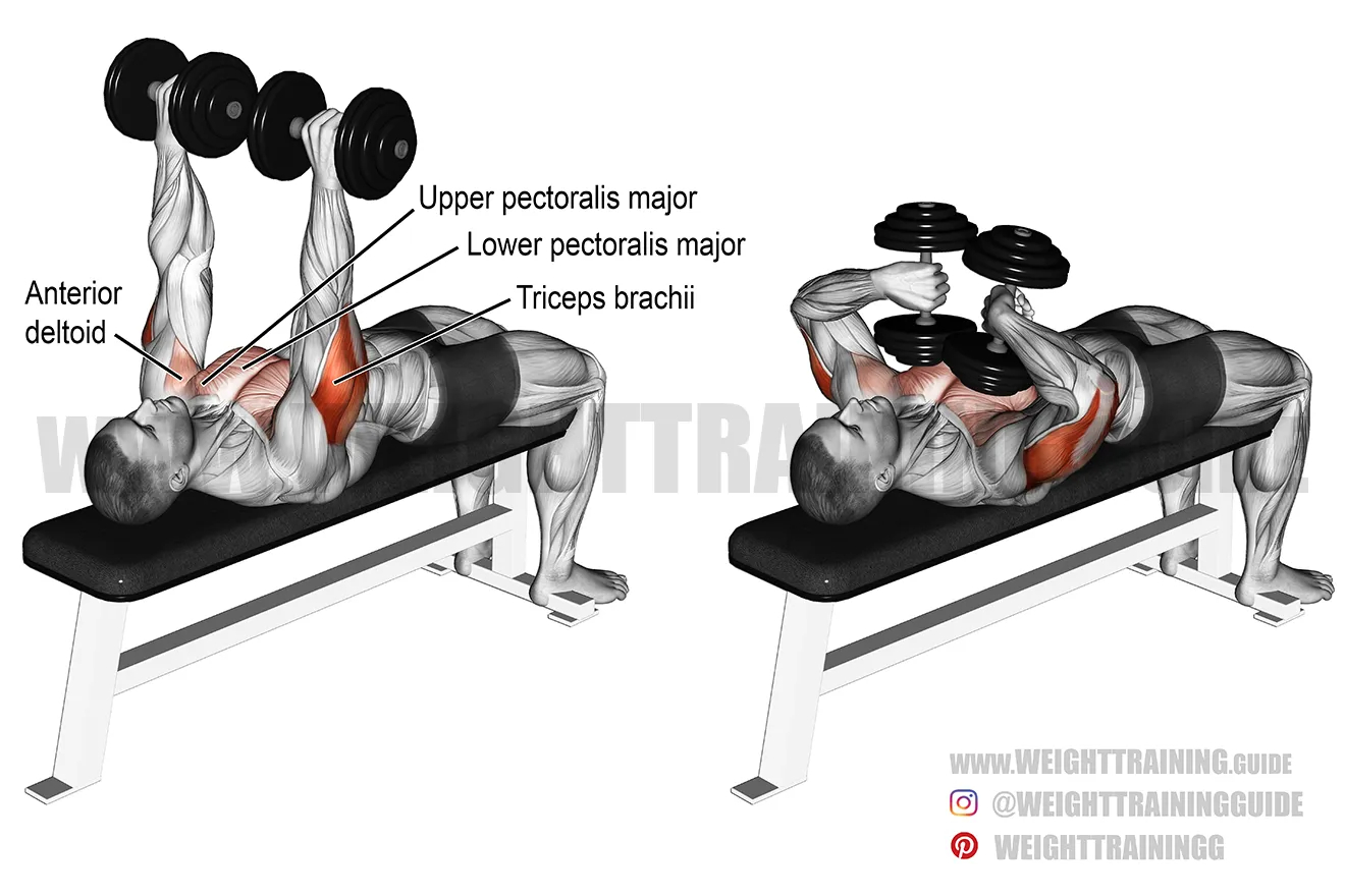 The 11 Best Tricep Exercises For Improved Strength & Size