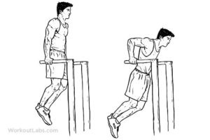 The 11 Best Tricep Exercises For Improved Strength & Size