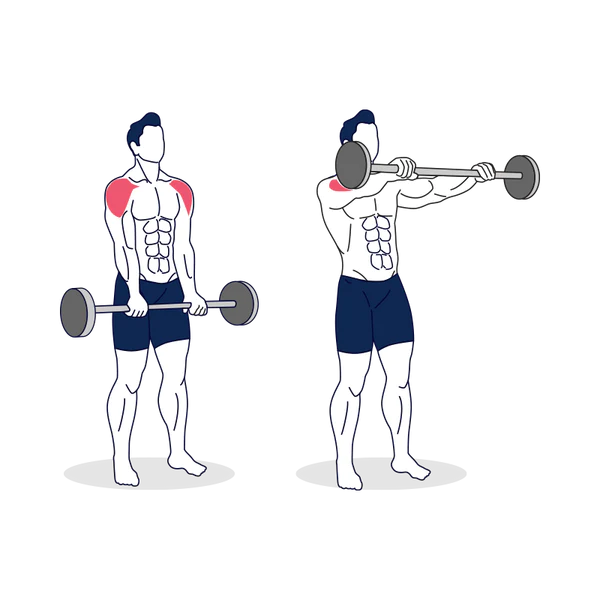 12 Best Shoulder Workouts & Exercises For Men - Boss Hunting
