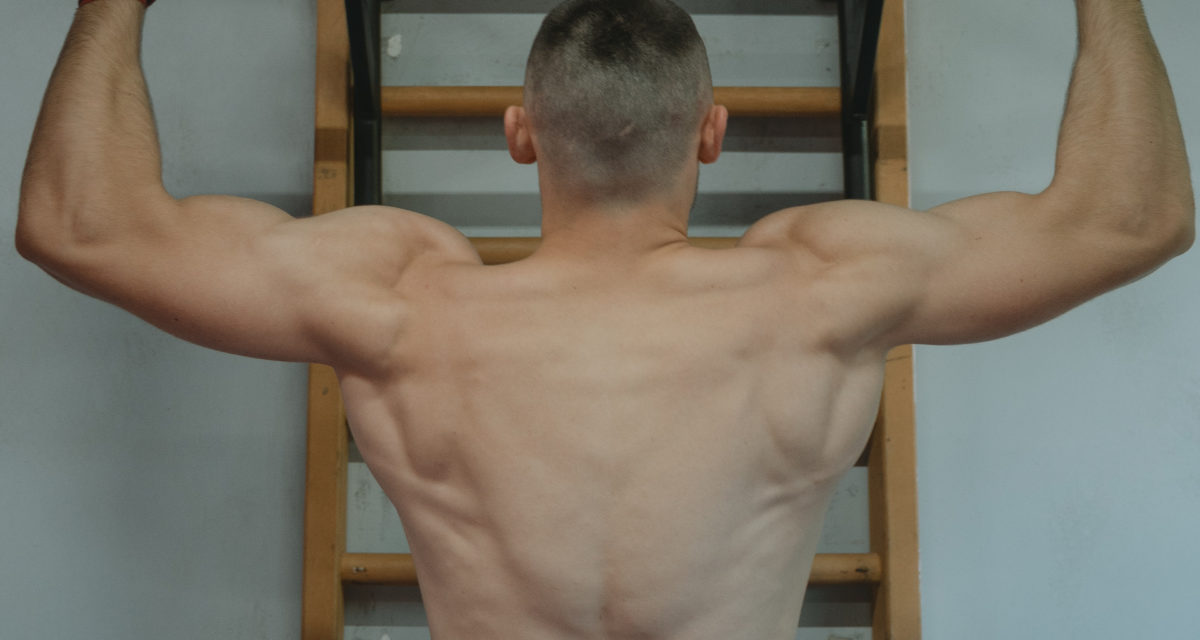 13 Best Trap Exercises & Workouts for Men