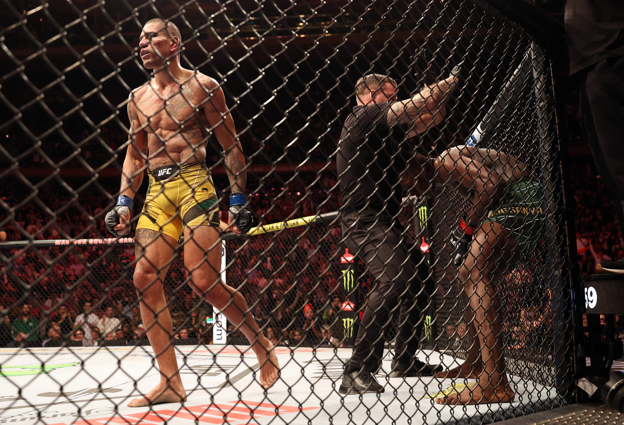 UFC 281 Results: Alex Pereira Becomes New Middleweight King