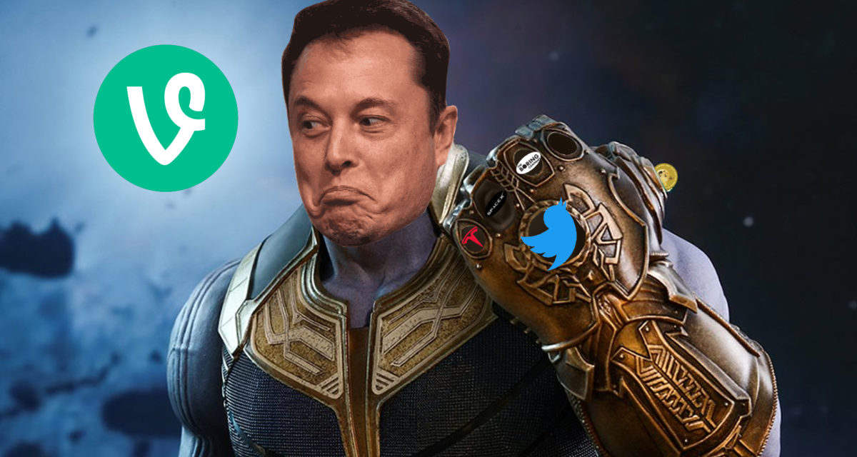 Now That He's Bought Twitter, Elon Musk Wants To Revive Vine Now That He's Bought Twitter, Elon Musk Wants To Revive Vine