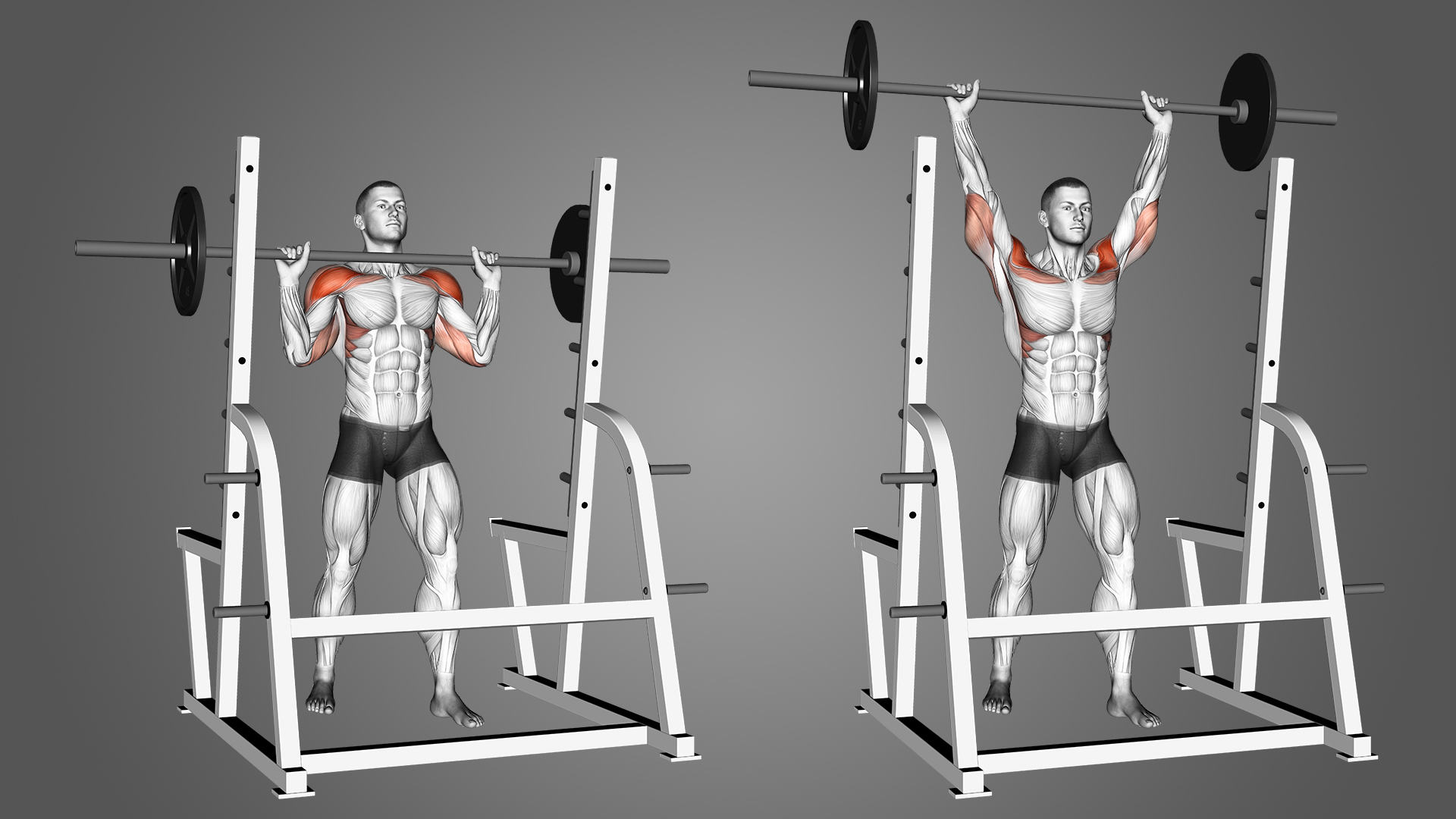 The 12 Best Shoulder Exercises For Improved Strength & Size