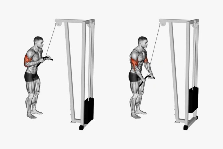 The 11 Best Tricep Exercises For Improved Strength & Size