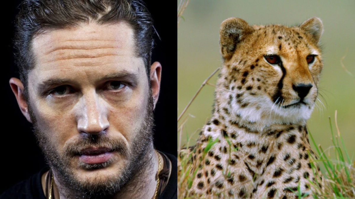 Netflix Archives - Boss Hunting