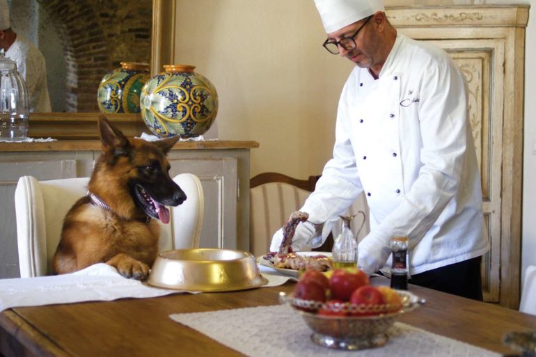 Gunther, The German Shepherd Worth $580M, Gets A Netflix Doco