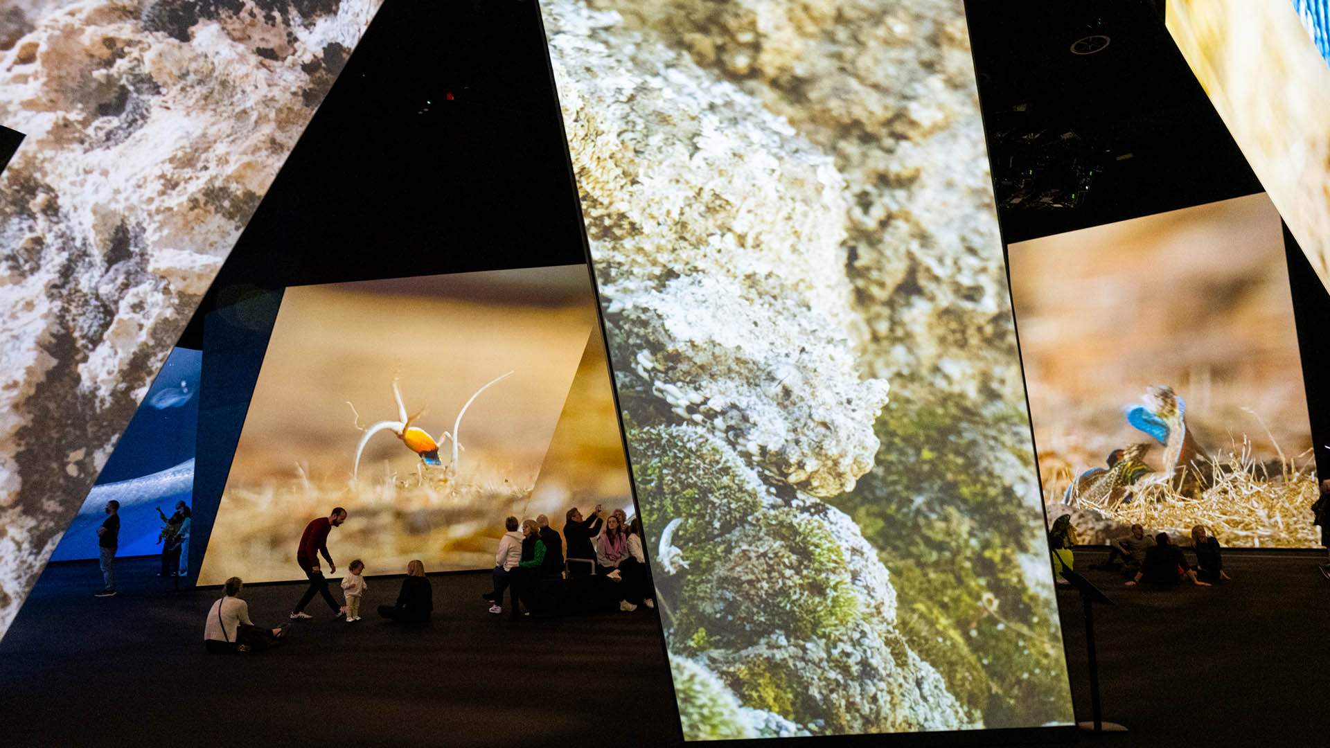 BBC Earth Experience W/ Sir David Attenborough Hits Melbourne