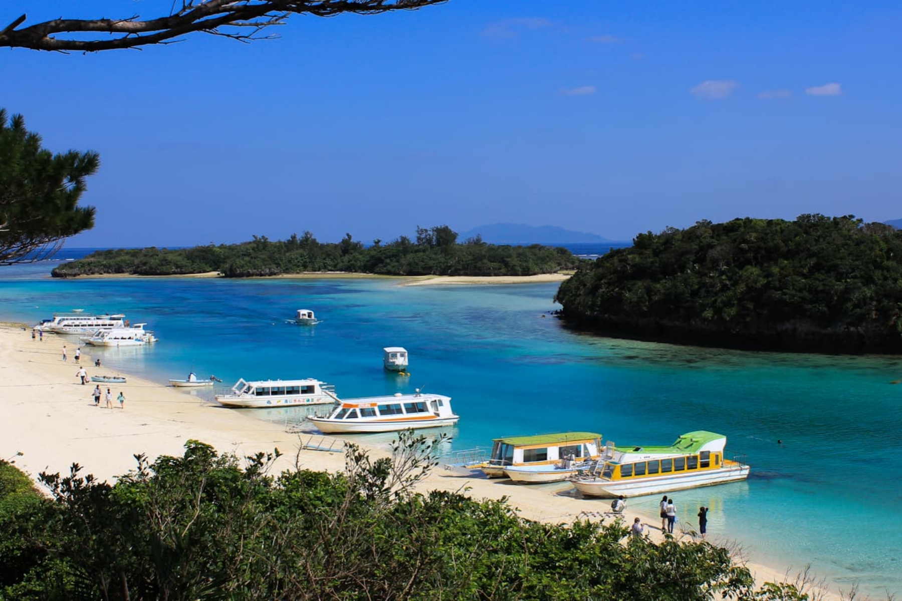 The Monsuta x Boss Hunting Travel Guide To Okinawa