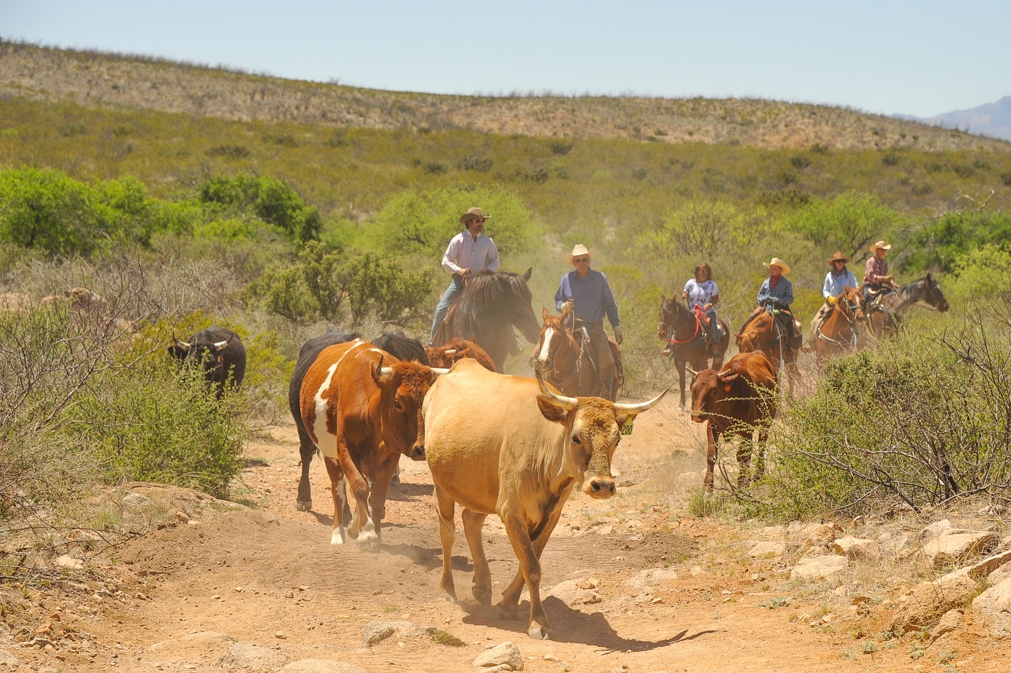14 Of The Best Dude Ranches In The USA - Boss Hunting