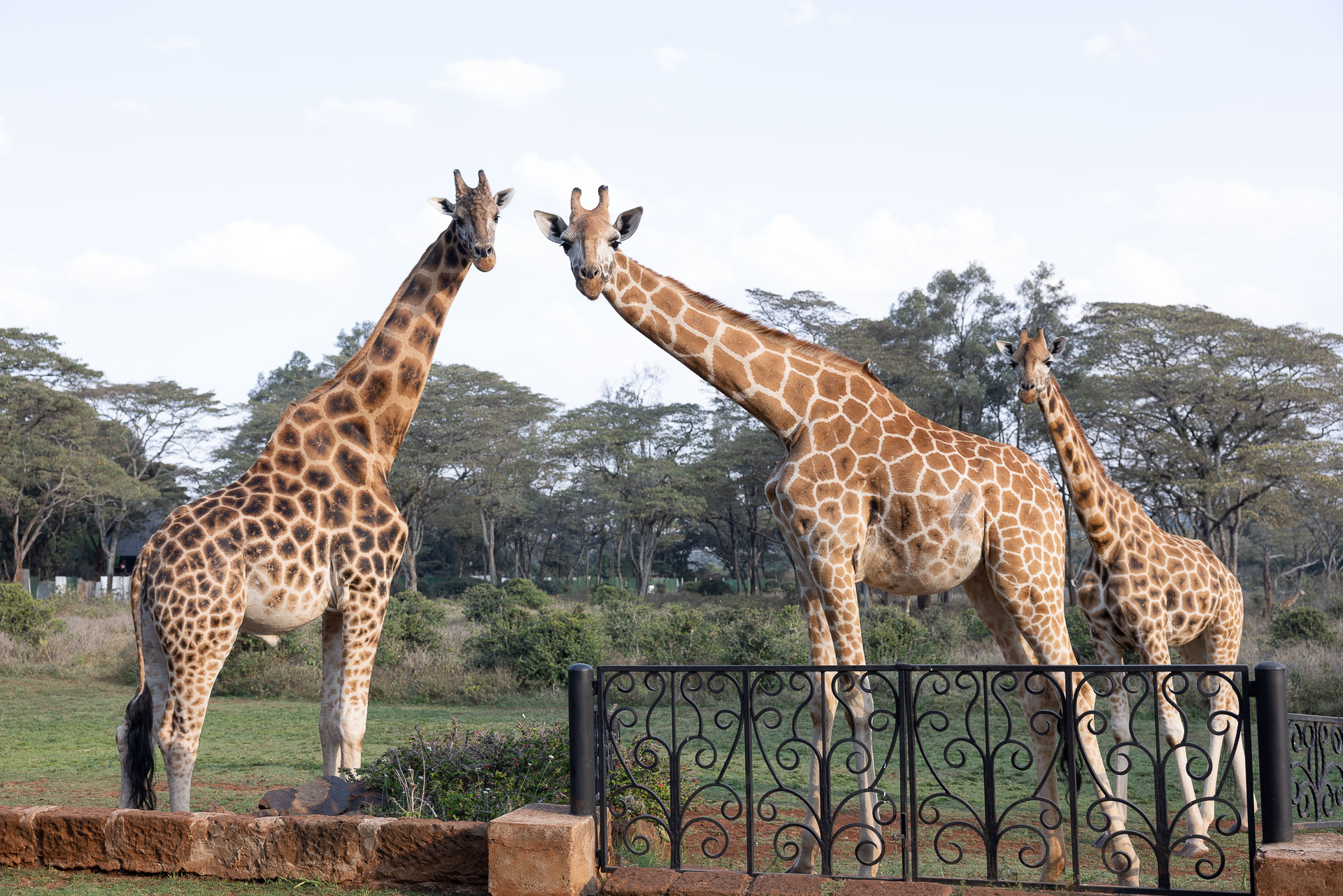 How Thomas Cahalan Became The Most Respected Voice In Luxury Travel