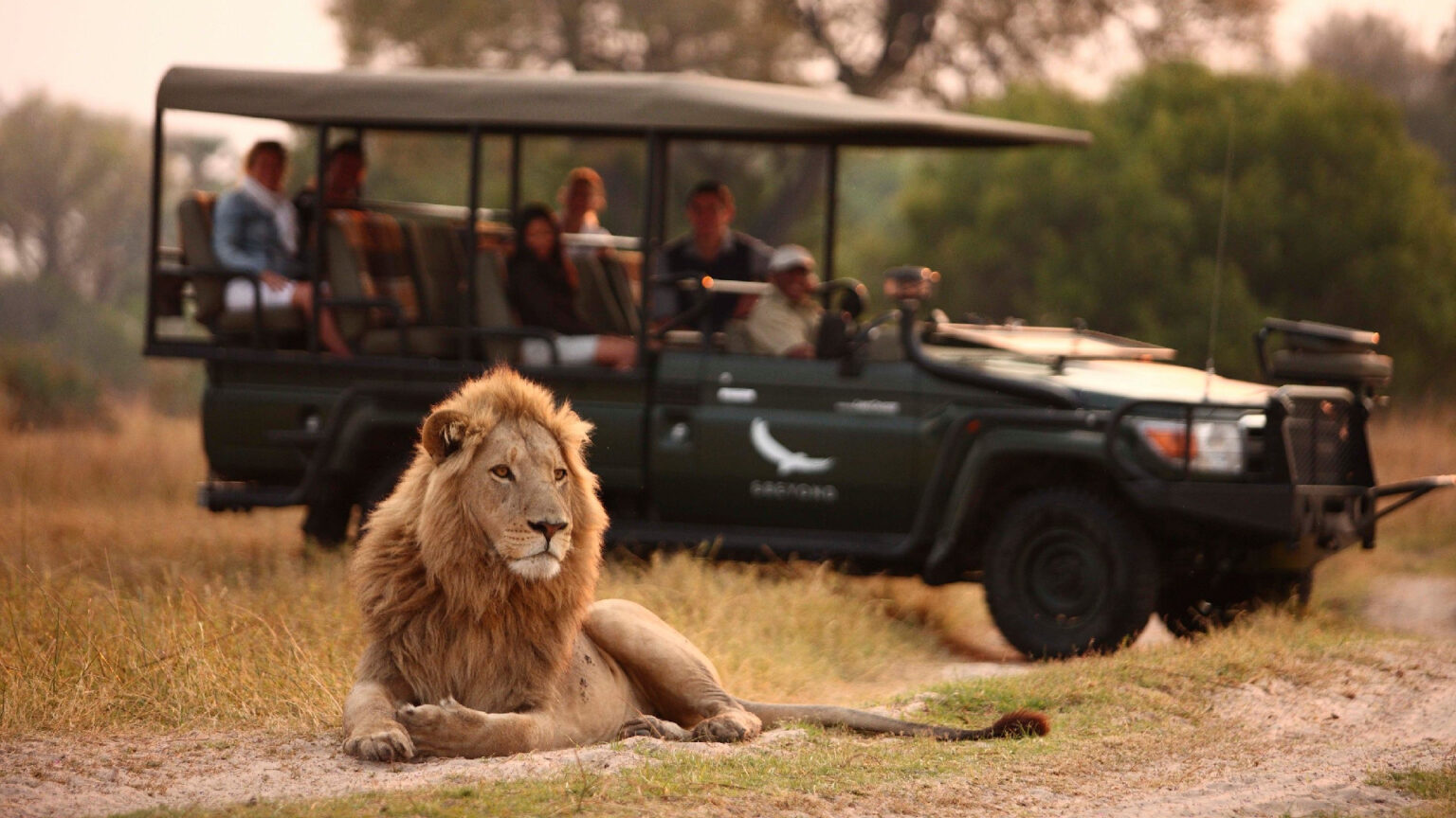 Game Of Life: A Luxurious Hemingway-Esque Safari In South Africa - Boss ...